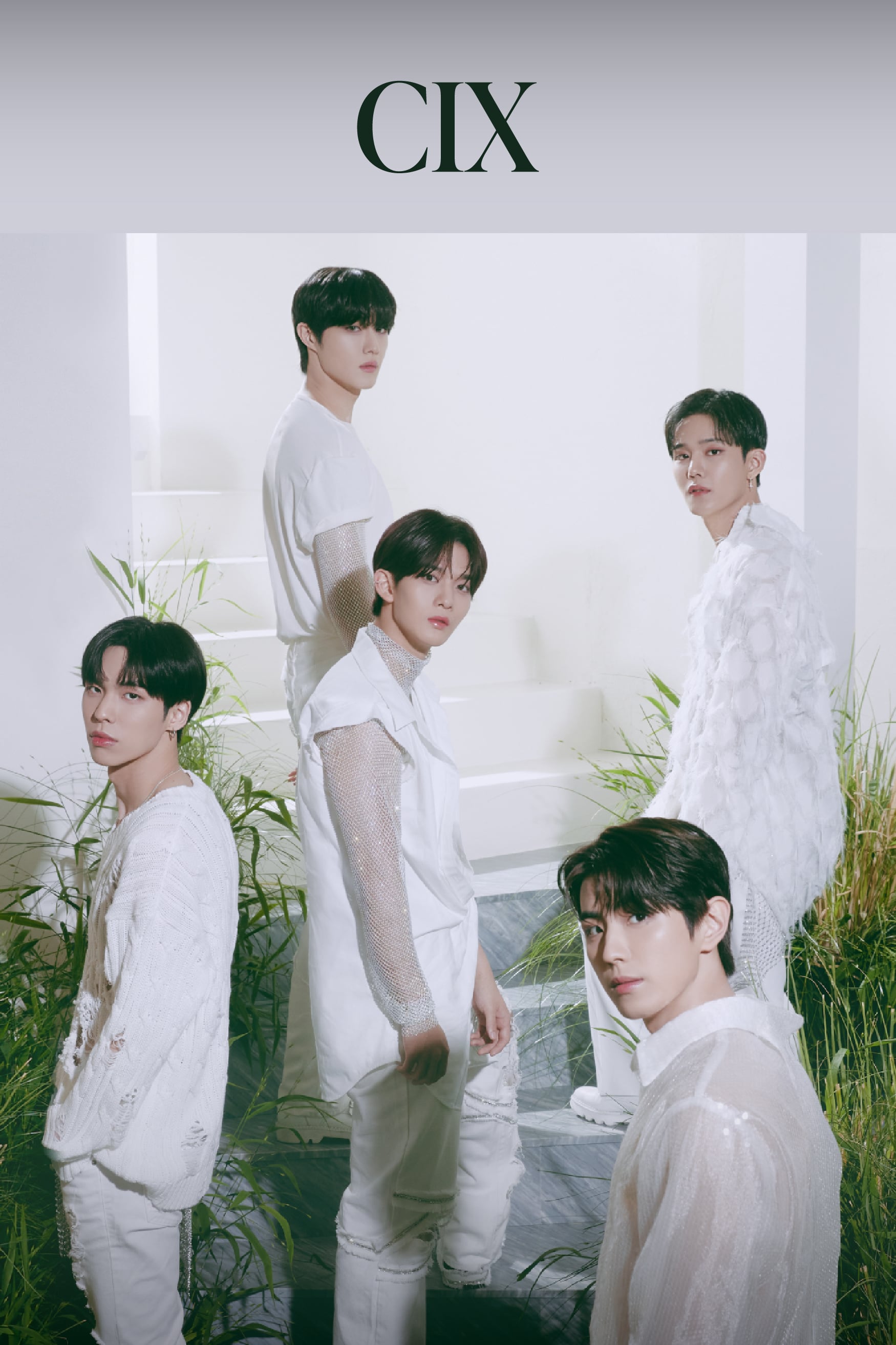 CIX(씨아이엑스) ⎪ fromm store | 프롬스토어 fromm store